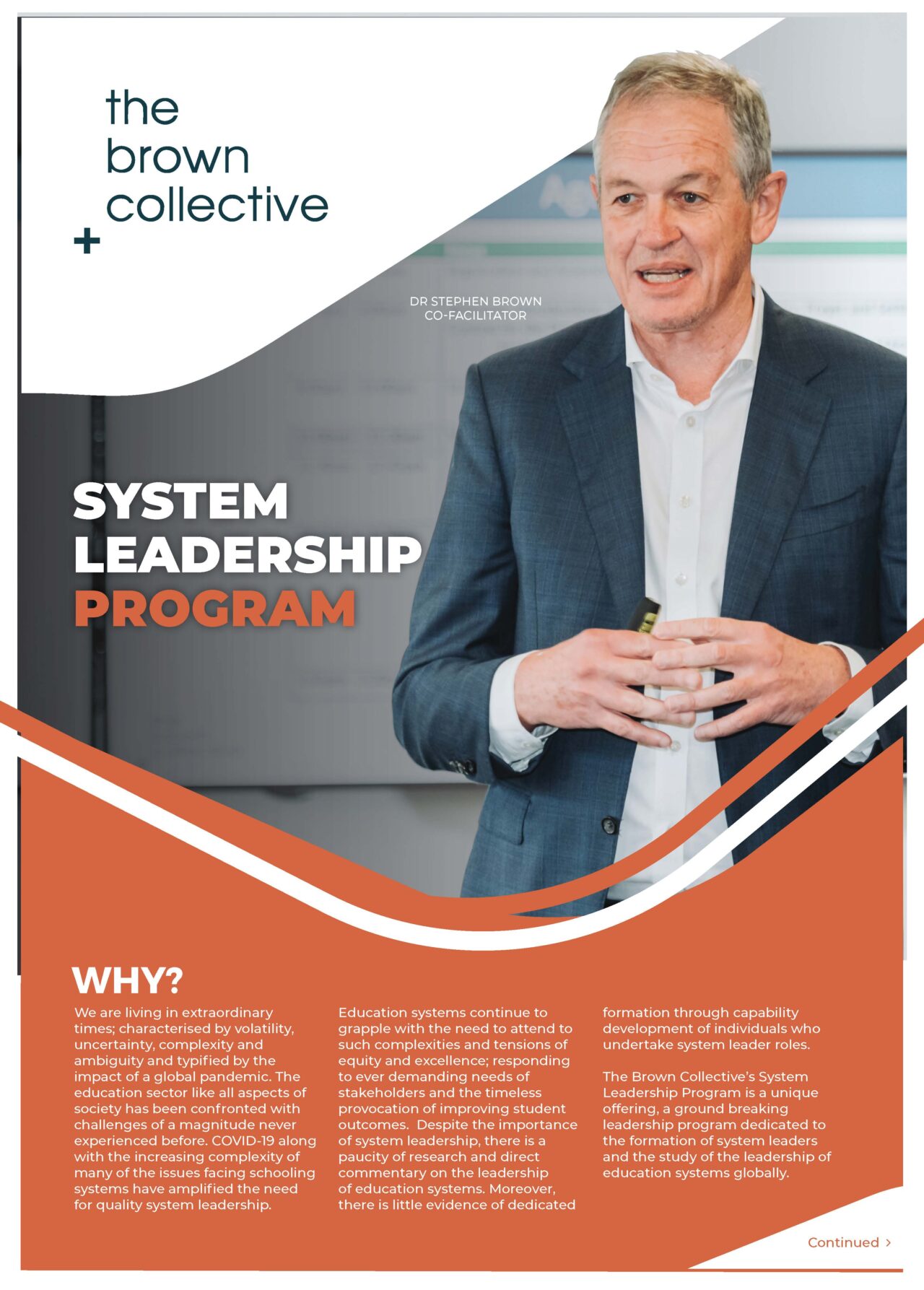 System Leadership Program - thebrowncollective